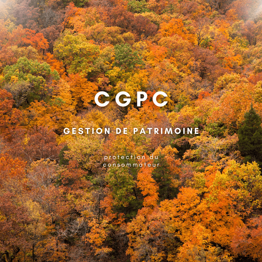 Conseils en gestion de patrimoine